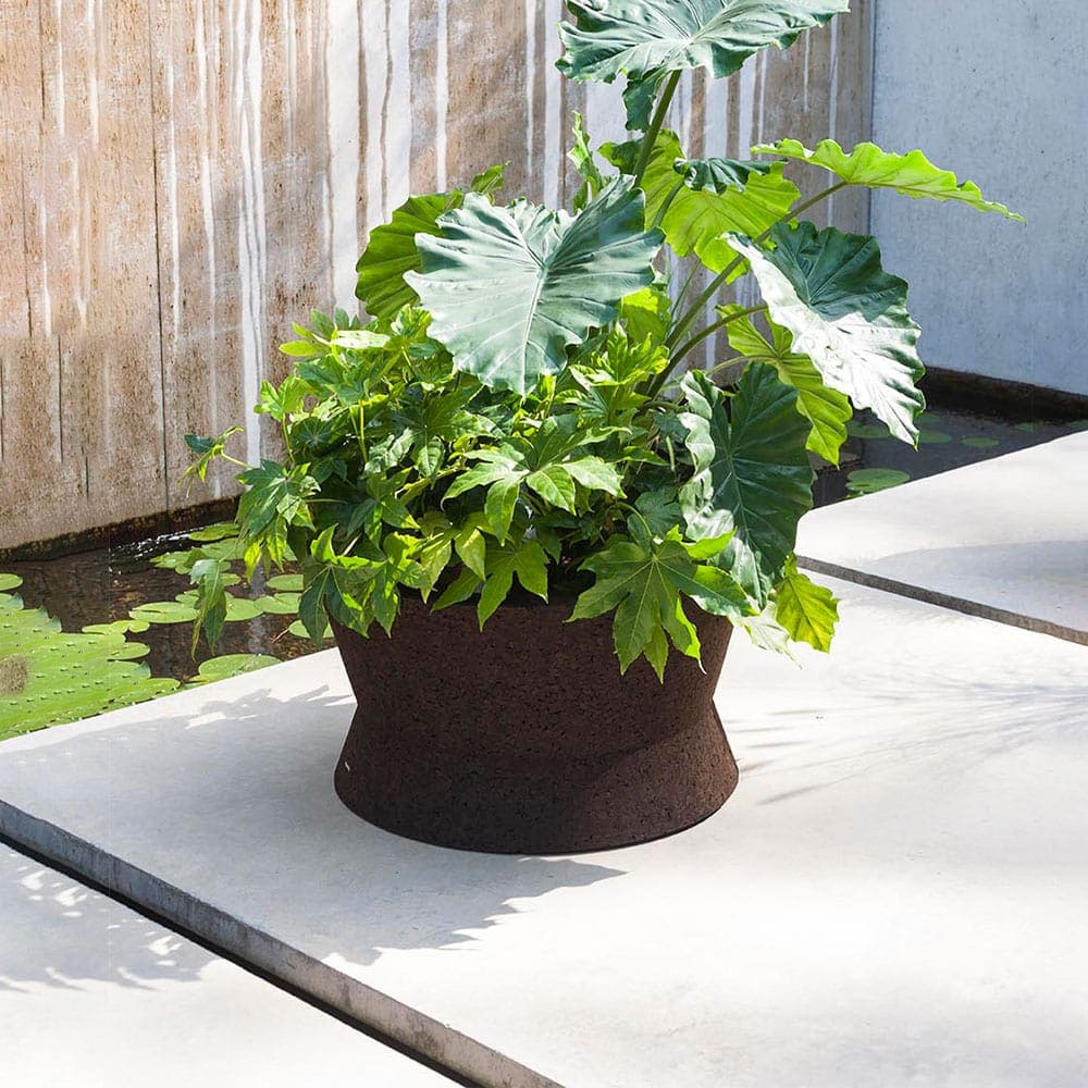 ddc | Bush On 001 Planter